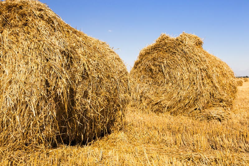 Straw stack stock image. Image of agricultural, closeup - 27604769