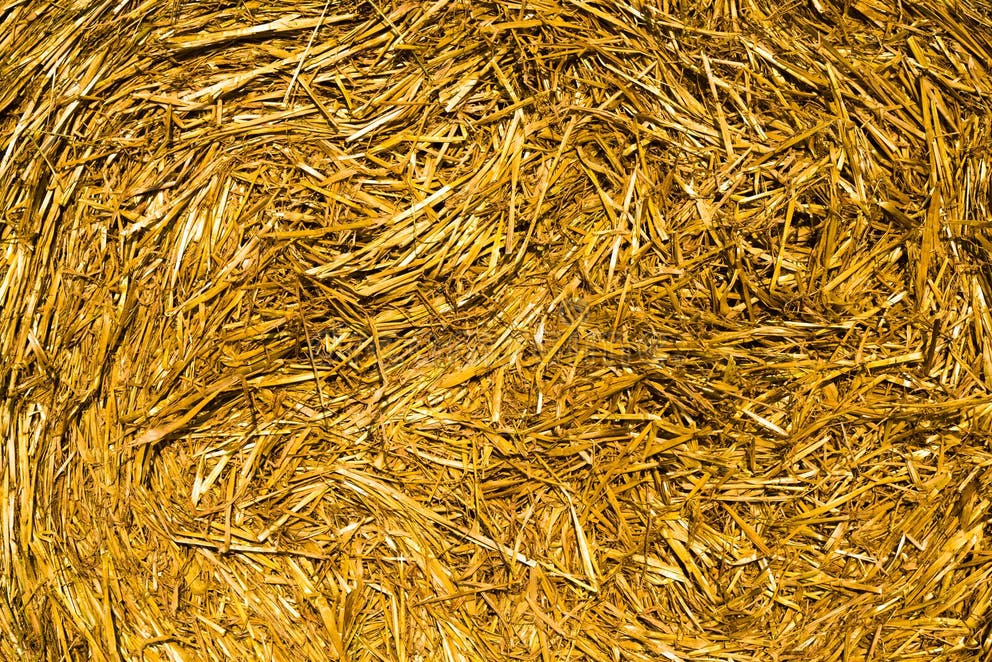 Straw stack stock image. Image of closeup, agriculture - 27628507