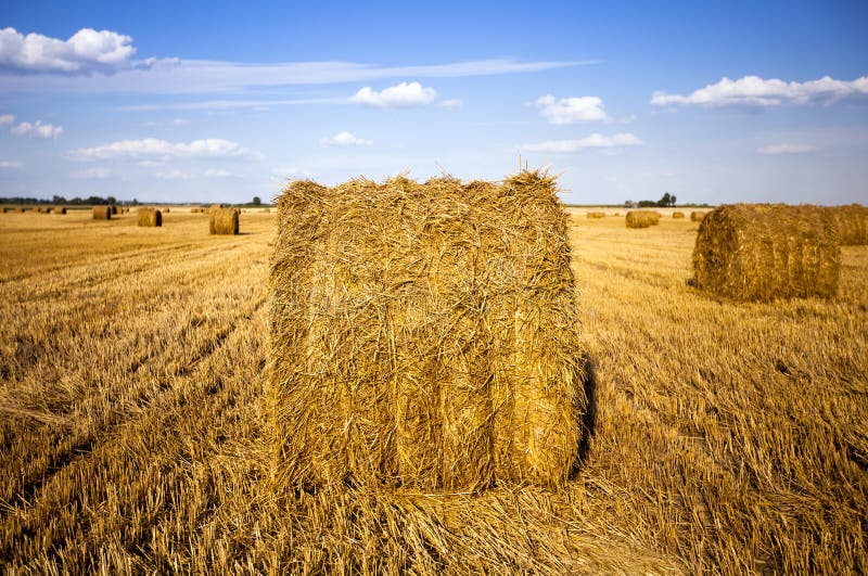 Straw stack stock photo. Image of landscape, golden, horizon - 21104588
