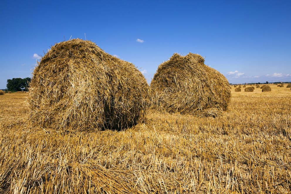 Straw stack stock image. Image of autumn, cylinder, harvest - 28845213