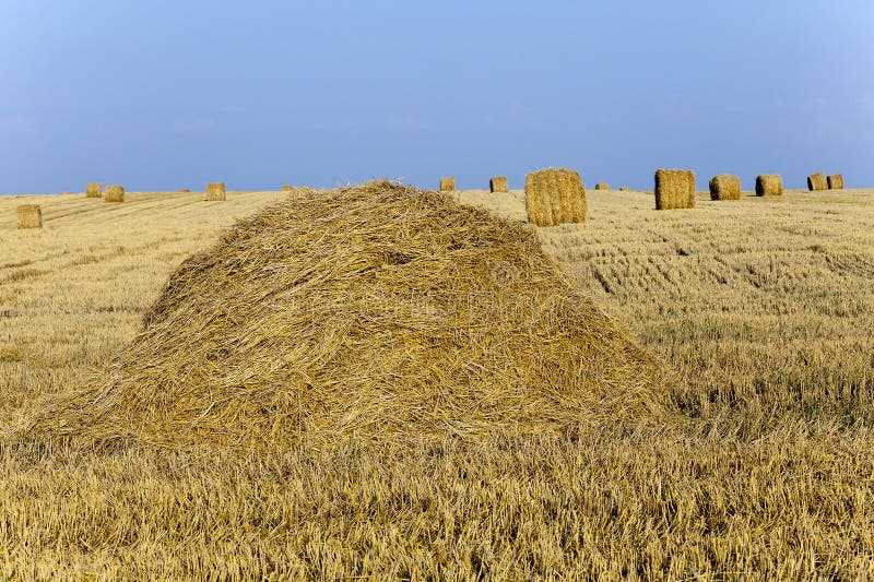 Straw stack stock image. Image of farm, harvest, majestic - 54545283