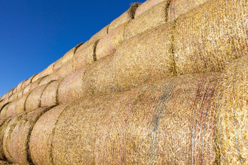 Straw stack stock photo. Image of agricultural, grass - 129412316
