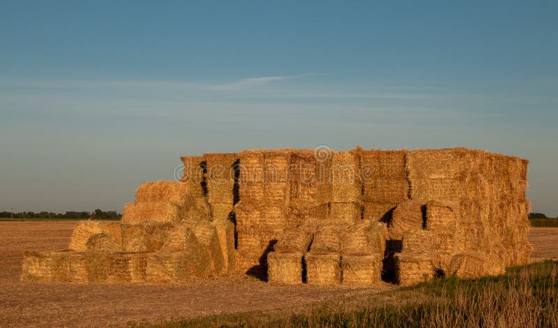 Straw Stack falling down stock photo. Image of shining - 185885854