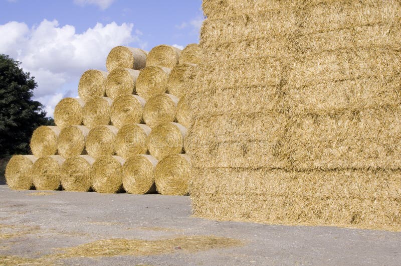 Straw Stack stock photo. Image of bales, photograph, barley - 33642848