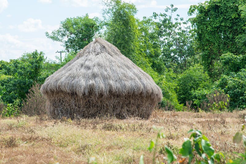 Straw stack near the field stock photo. Image of nature - 55980552