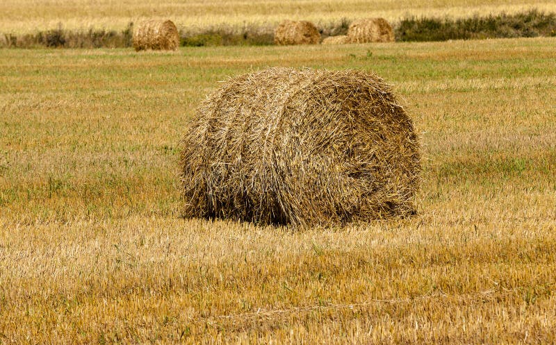 Straw stack stock image. Image of circle, heap, products - 46022845