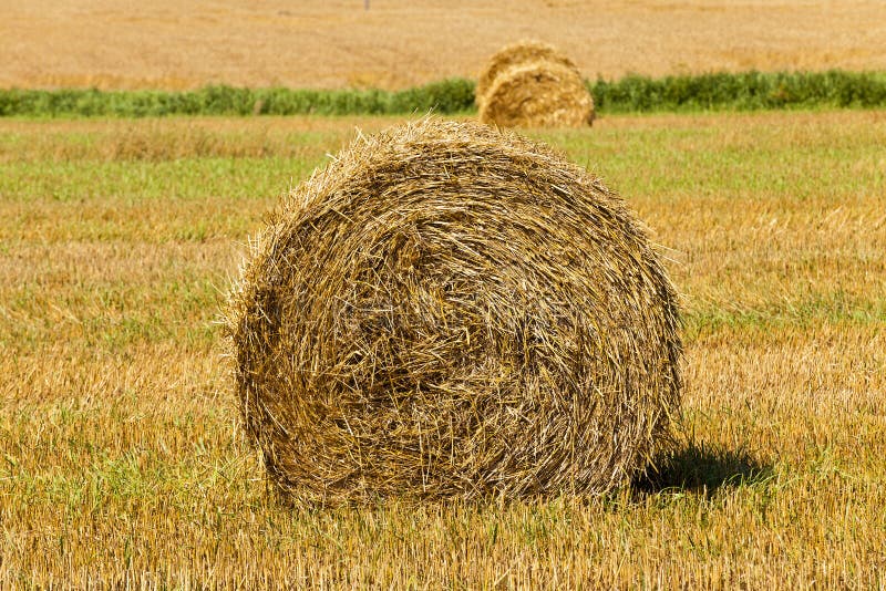 Straw stack stock photo. Image of gold, closeup, nature - 54750168