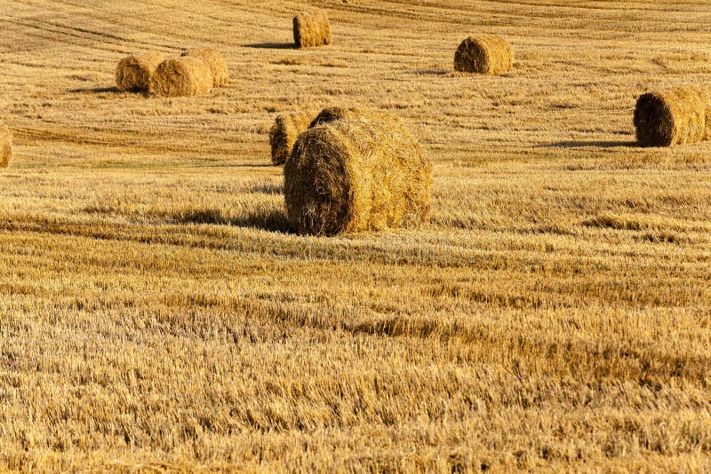 Straw stack stock image. Image of rolled, rural, crop - 54545823