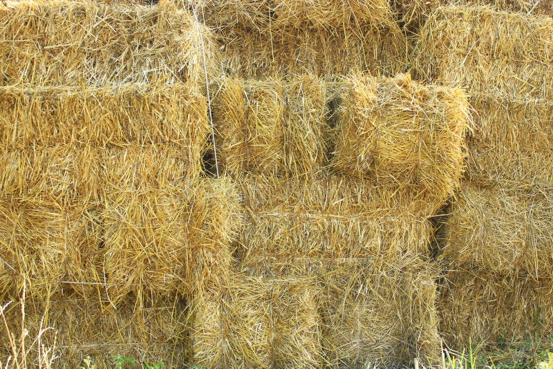 Straw stacked in bales stock photo. Image of package - 62817532