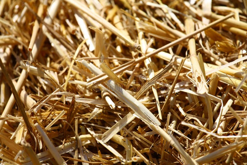 Straw stalks stock photo. Image of detail, stems, package - 258957368
