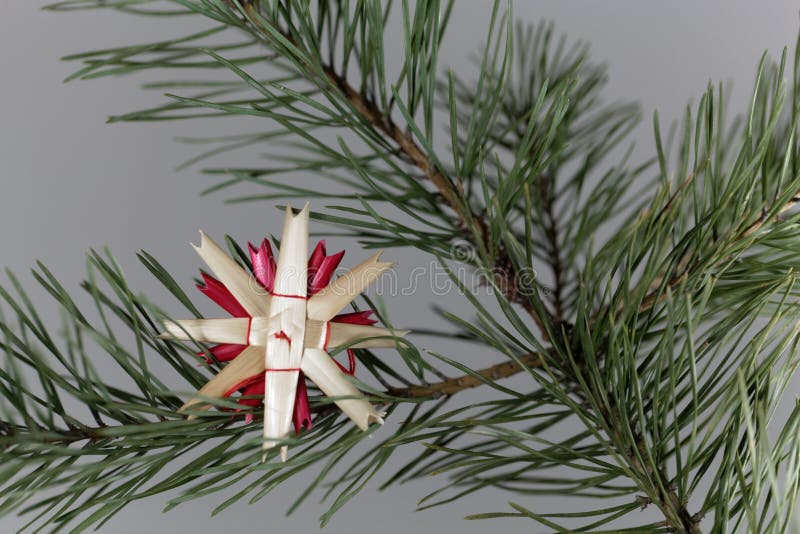 Straw Star on a Pine Branch Stock Image - Image of decorative, gold ...