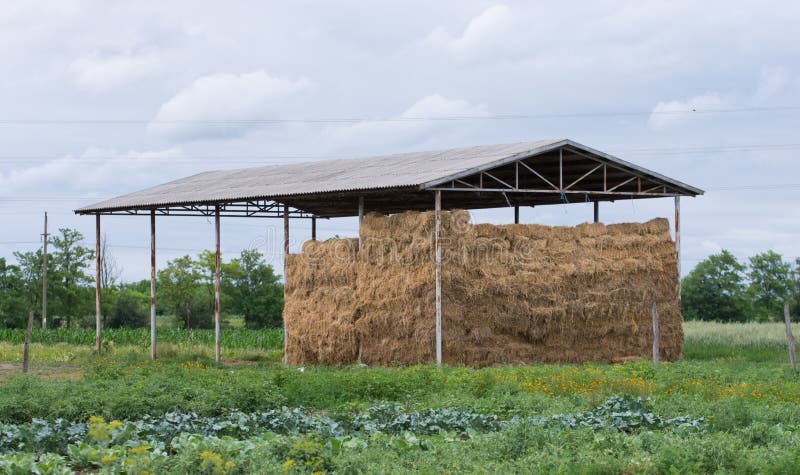 Straw storage stock photo. Image of agriculture, feed - 32535692