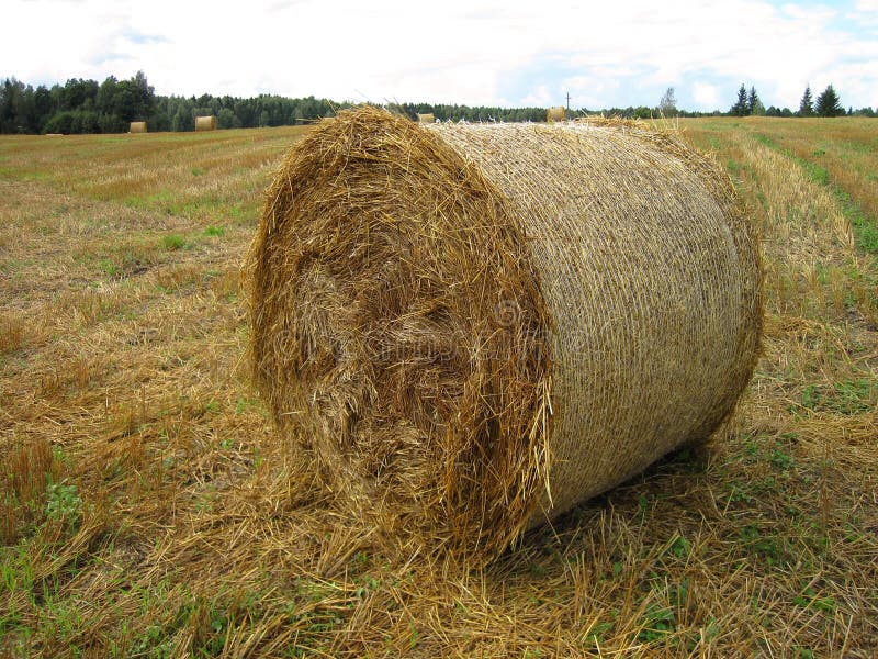 Straw stock photo. Image of farm, nature, natural, landscape - 30604630