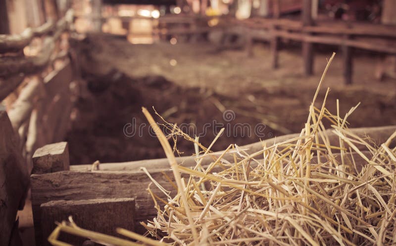Straw stock photo. Image of stable, food, rural, wood - 112672630