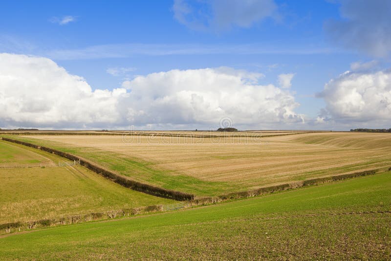 Straw stubble fields stock image. Image of crops, hills - 79750143