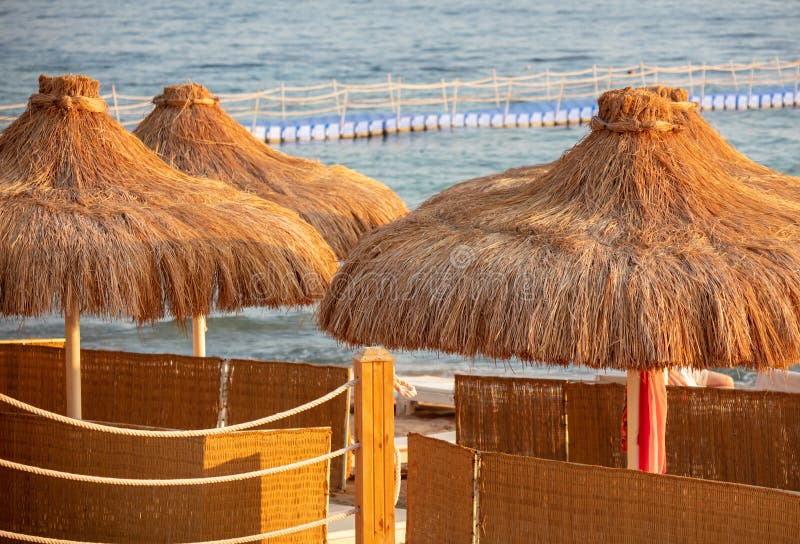 Straw Sun Lounger on the Beach Stock Photo - Image of summer, coast ...