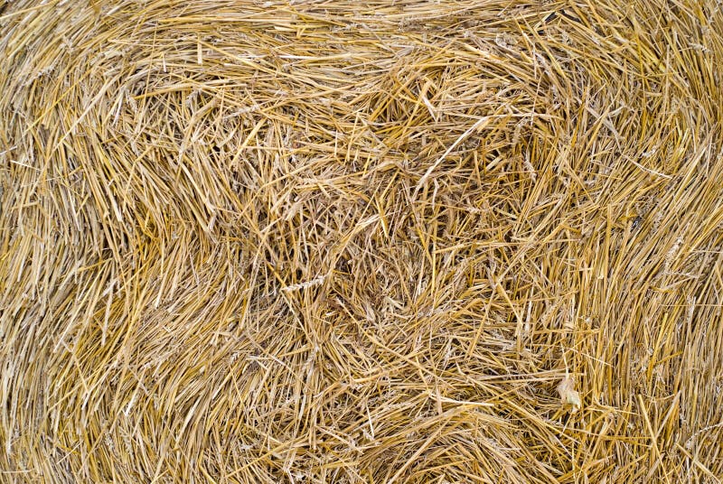 Straw texture stock image. Image of package, country - 10872623