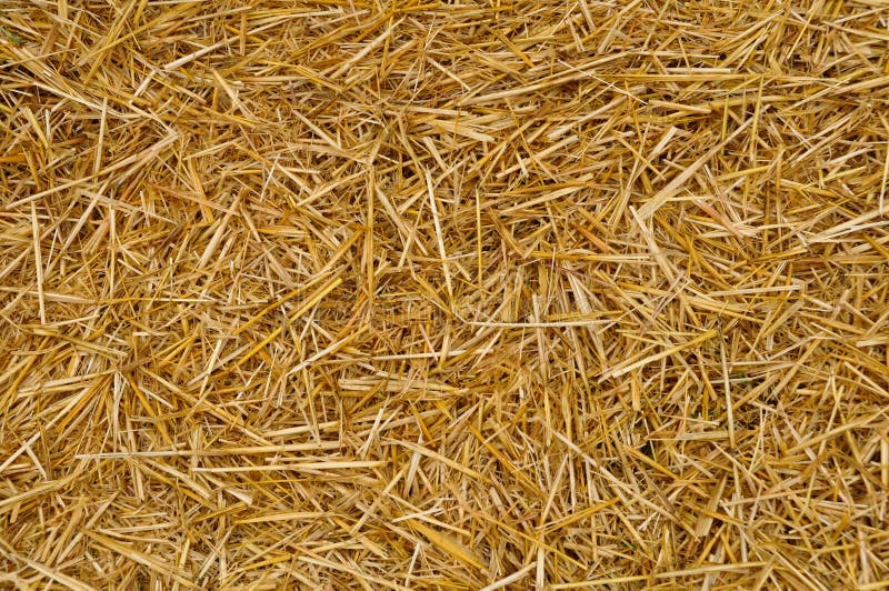 Straw texture stock image. Image of natural, hayrick - 16886027