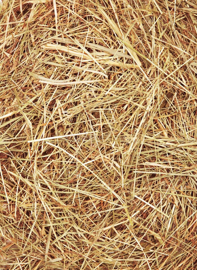 1,200+ Straw texture Free Stock Photos - StockFreeImages