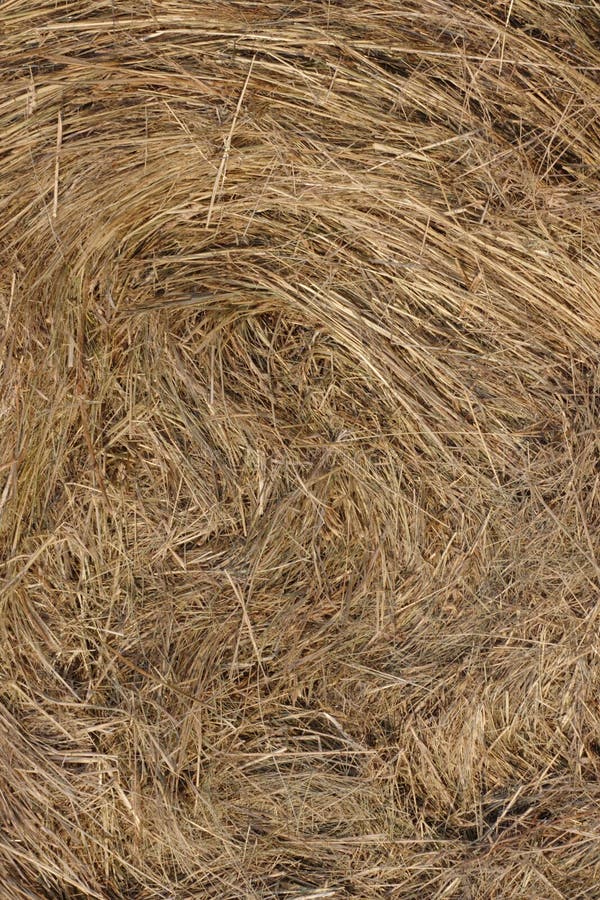 1,200+ Straw texture Free Stock Photos - StockFreeImages