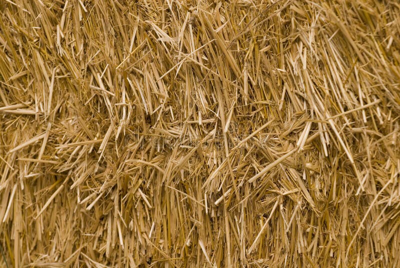 Straw texture stock photo. Image of harvest, landscape - 19627362
