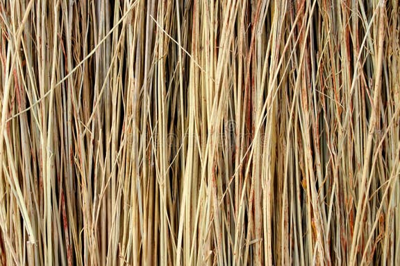 Straw Texture stock photo. Image of besom, rough, handicraft - 821178