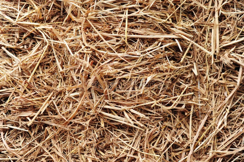 Straw texture background stock photo. Image of home, handmade - 35984968