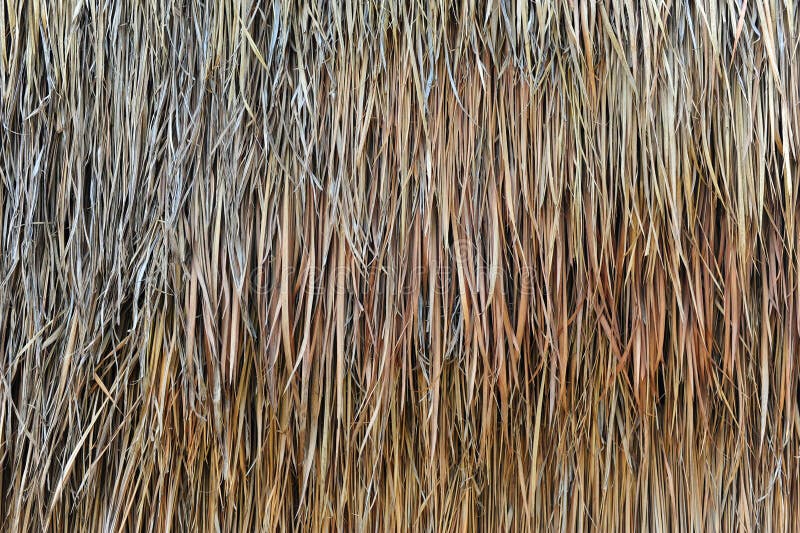 Straw texture background stock image. Image of asian - 40352313