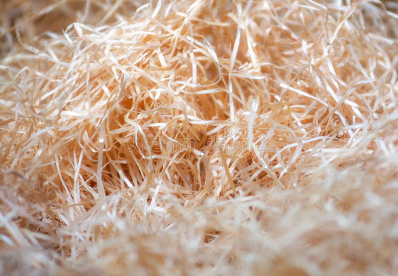 Straw texture close up stock photo. Image of wheat, wooden - 150669248