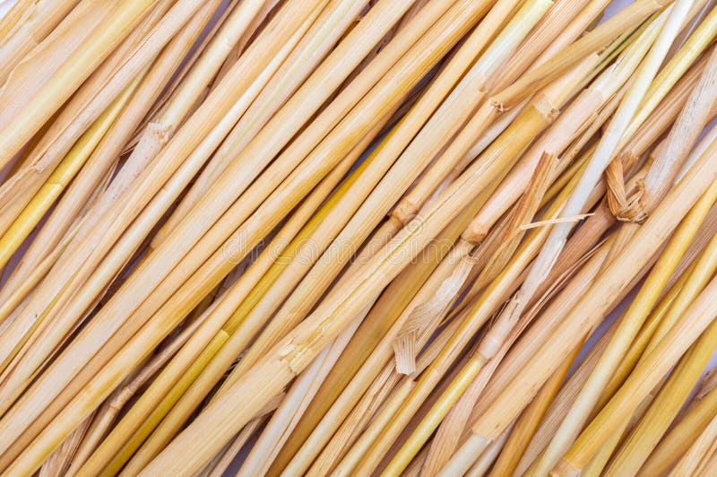 Straw Texture Collection of Vegetable and Natural Fibers. Stock Photo ...