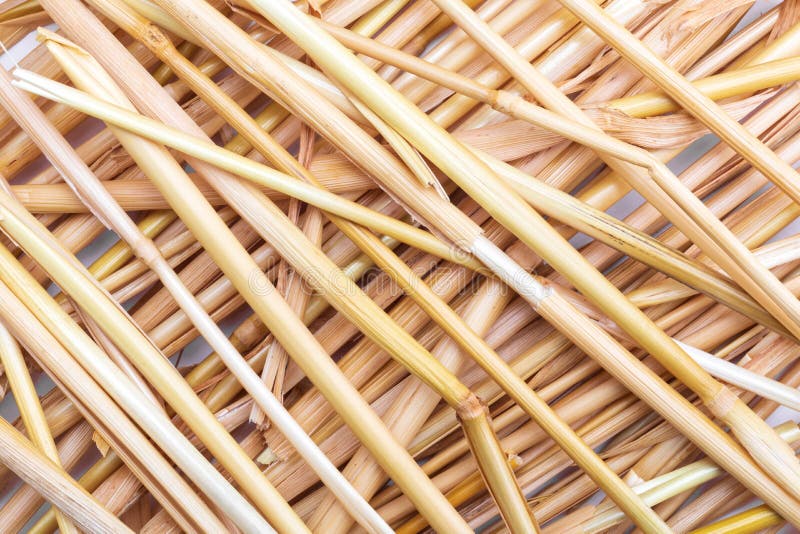Straw Texture Collection of Vegetable and Natural Fibers. Stock Image ...