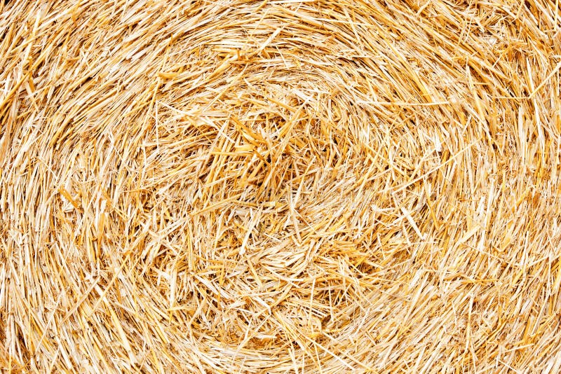 Straw texture stock image. Image of grass, rural, texture - 46843017