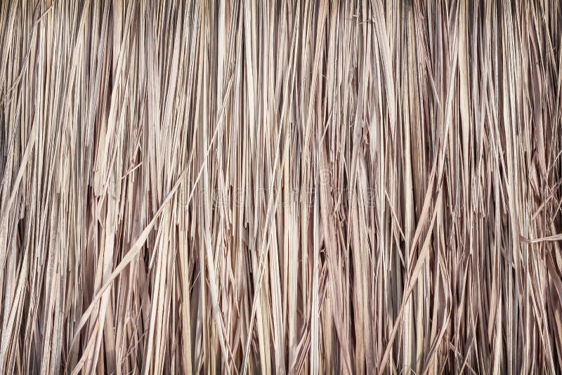 Straw Texture Natural Patterns Light Brown Background Stock Image ...