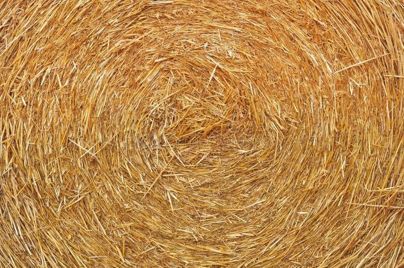 Straw texture stock image. Image of natural, biomass - 58018091