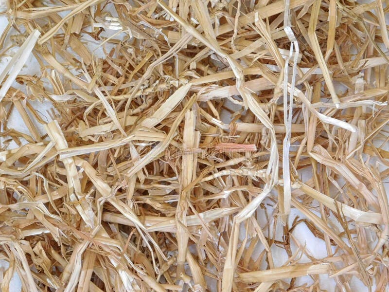 Straw texture stock image. Image of texture, rural, wheat - 92307443
