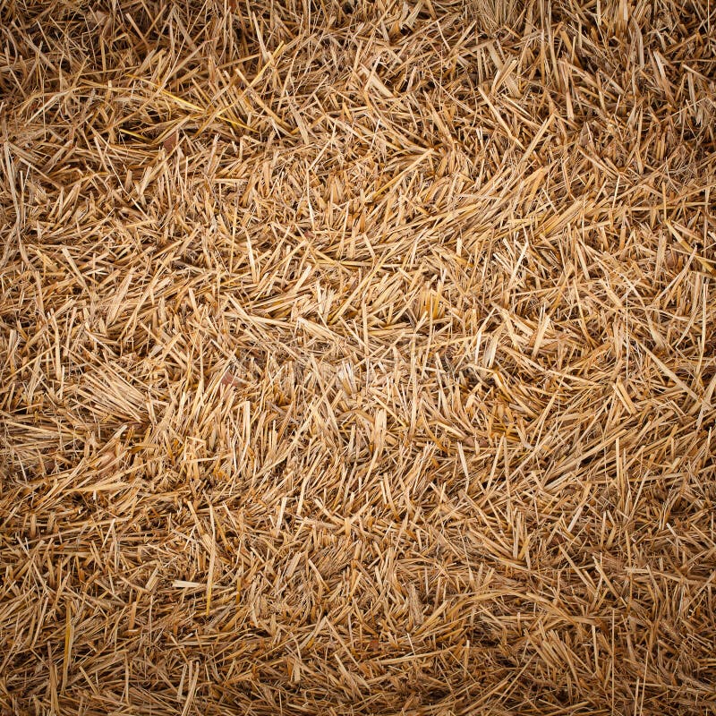 Straw texture stock image. Image of natural, hayrick - 16886027