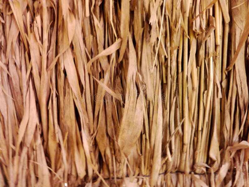 Straw texture stock image. Image of plant, texture, brown - 95582749