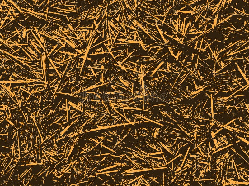 Straw texture stock vector. Illustration of agriculture - 288542514