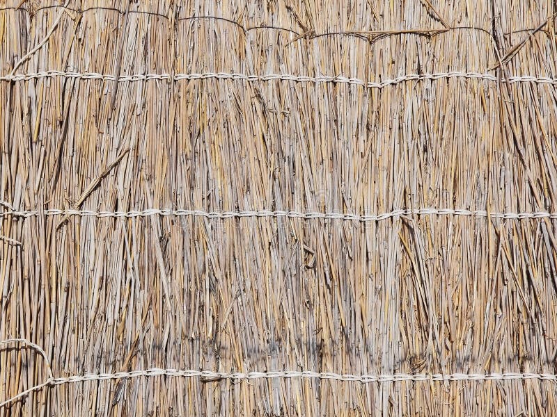 Straw texture wallpaper. stock photo. Image of rick, cabin - 23052478