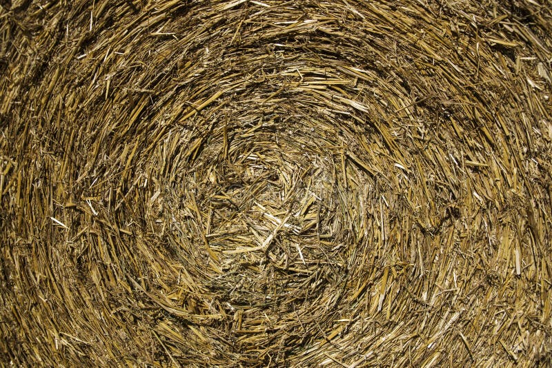 Straw texture stock image. Image of background, gold - 75494495