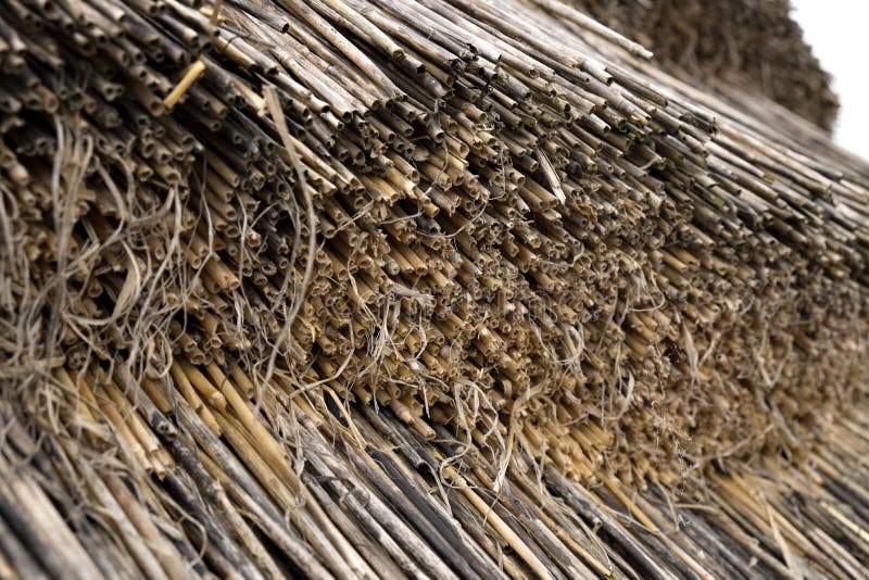 Straw thatching closeup stock image. Image of dried, closeup - 59657821