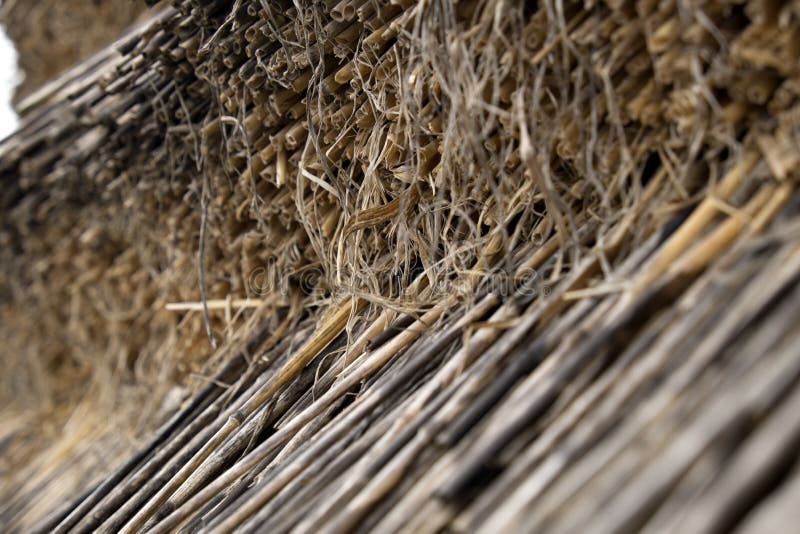 Straw thatching closeup stock image. Image of dried, closeup - 59657821