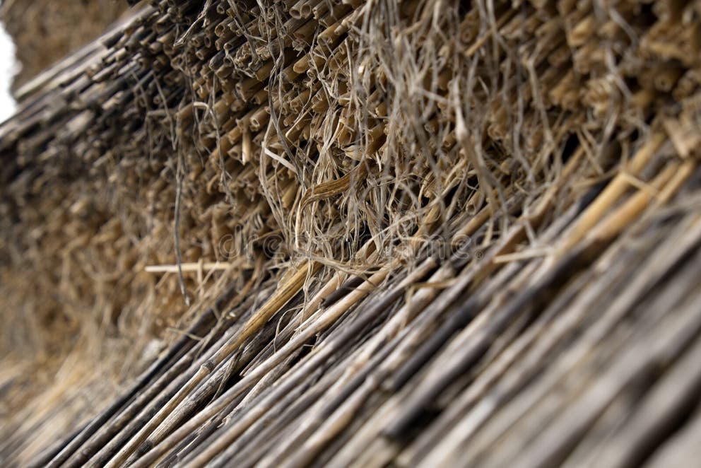Straw thatching closeup stock image. Image of straw, neolithic - 59657835