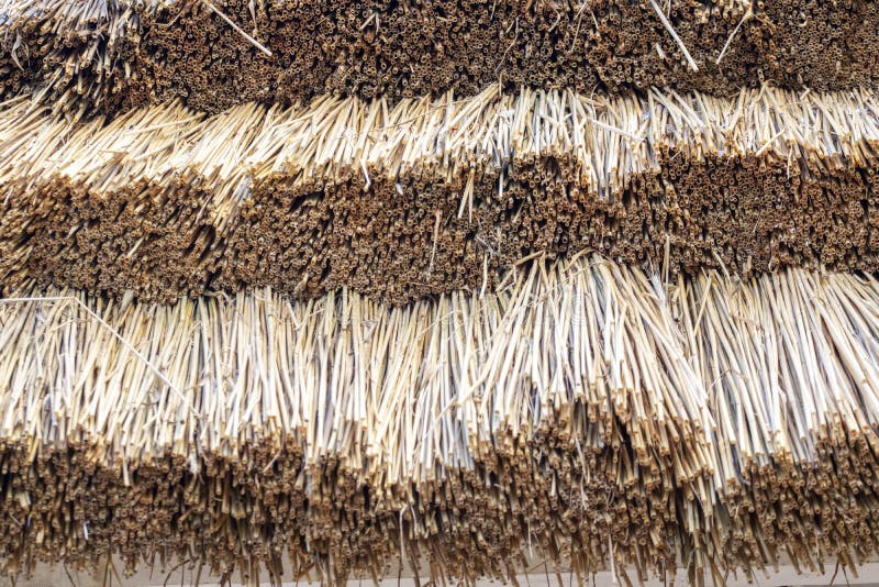 Straw thatching closeup stock image. Image of dried, closeup - 59657821