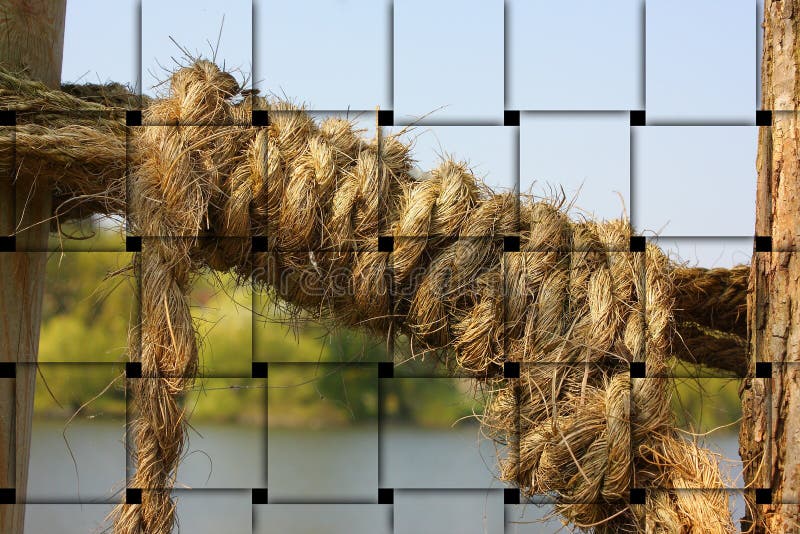 Straw, Tree, Grass Family, Rope Picture. Image: 96251243
