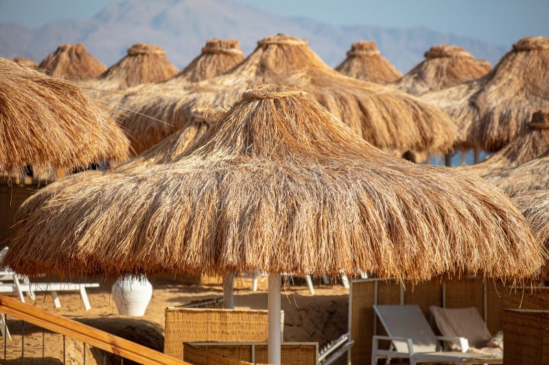 Straw Umbrellas on the Beach. Stock Photo - Image of beautiful, nature ...