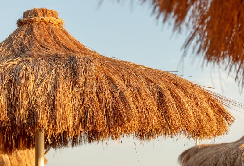 Straw Umbrellas on the Beach. Stock Photo - Image of shore, tourism ...