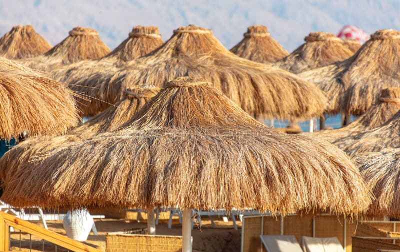 Straw Umbrellas on the Beach Stock Photo - Image of umbrella, straw ...