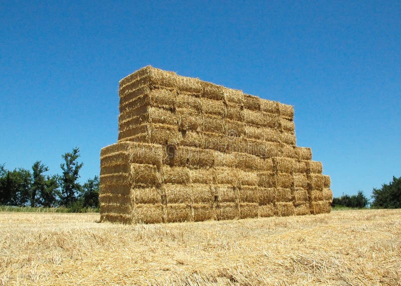 Straw Wall stock image. Image of summer, plant, pile, bale - 2681327