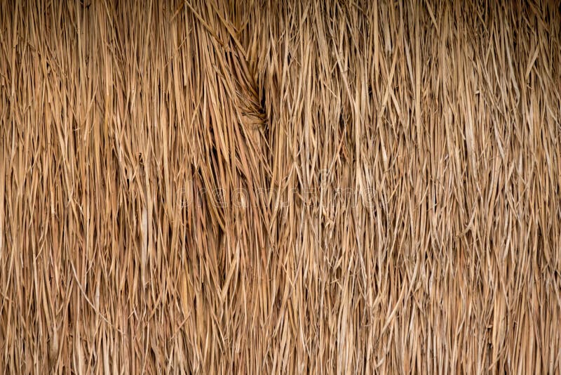 Straw Wall stock photo. Image of plant, straw, natural - 111217728